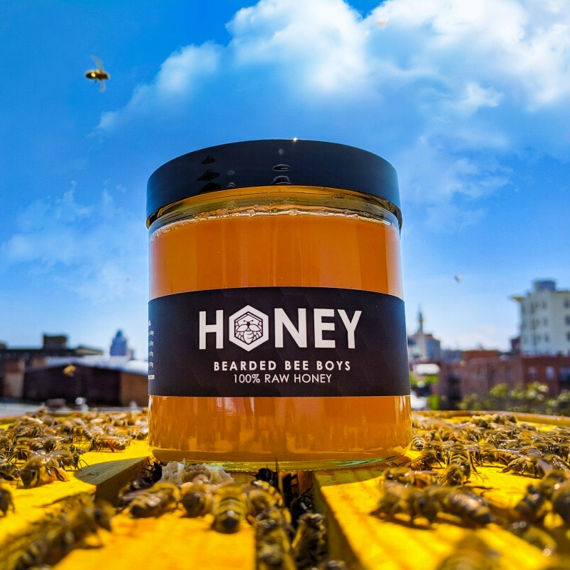 Bearded Bee Boys Collection – IXWOOD